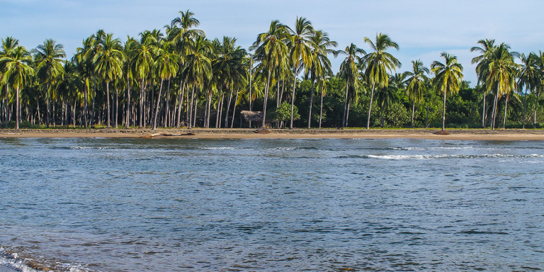 beaches - San Blas Riviera Nayarit